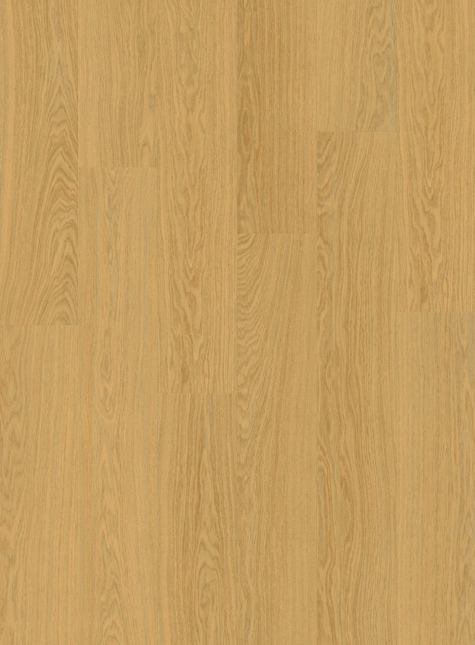 Quick-Step Bloom Pure Oak Honey | Titan Timber Flooring
